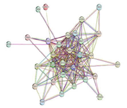 Unveiling Key Gene Biomarkers and Clinical Factors in Breast Cancer ...