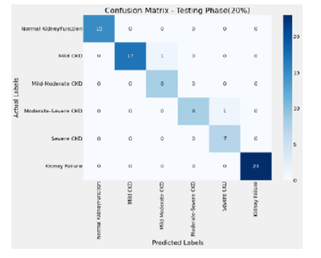 Chronic Kidney Failure Risk Prediction and Phase-Wise Progress ...