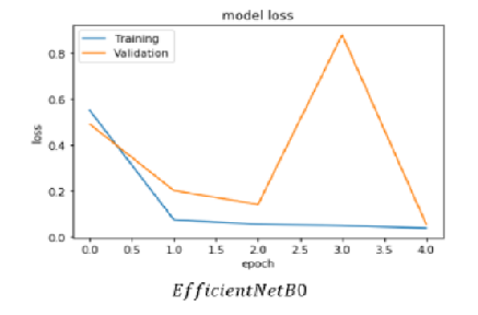 Automated Prediction System for Bone Cancer Detection and Bone Age Assessment using Deep ...