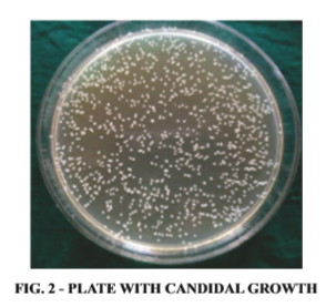 Automated counting of bacterial colonies by image analysis